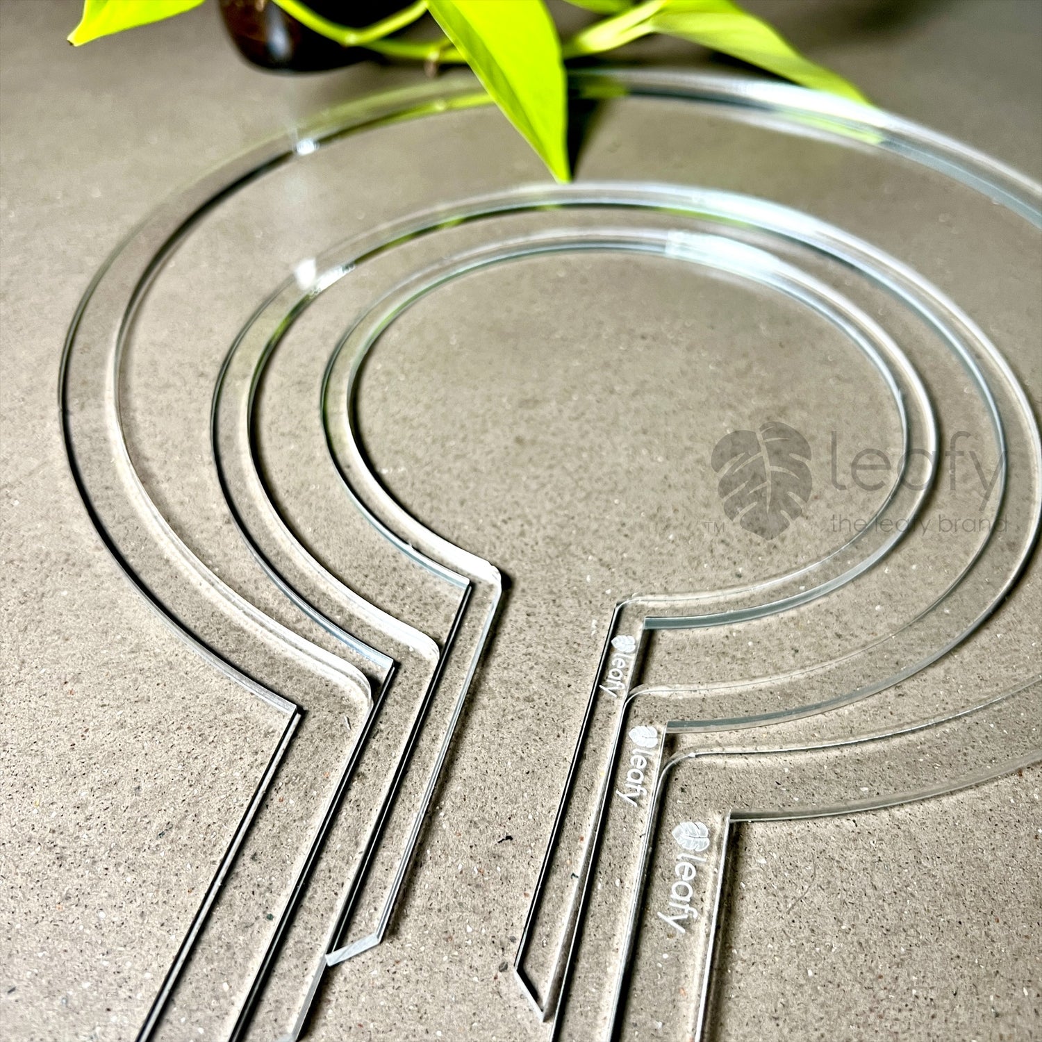 Trellis – The Leafy Brand