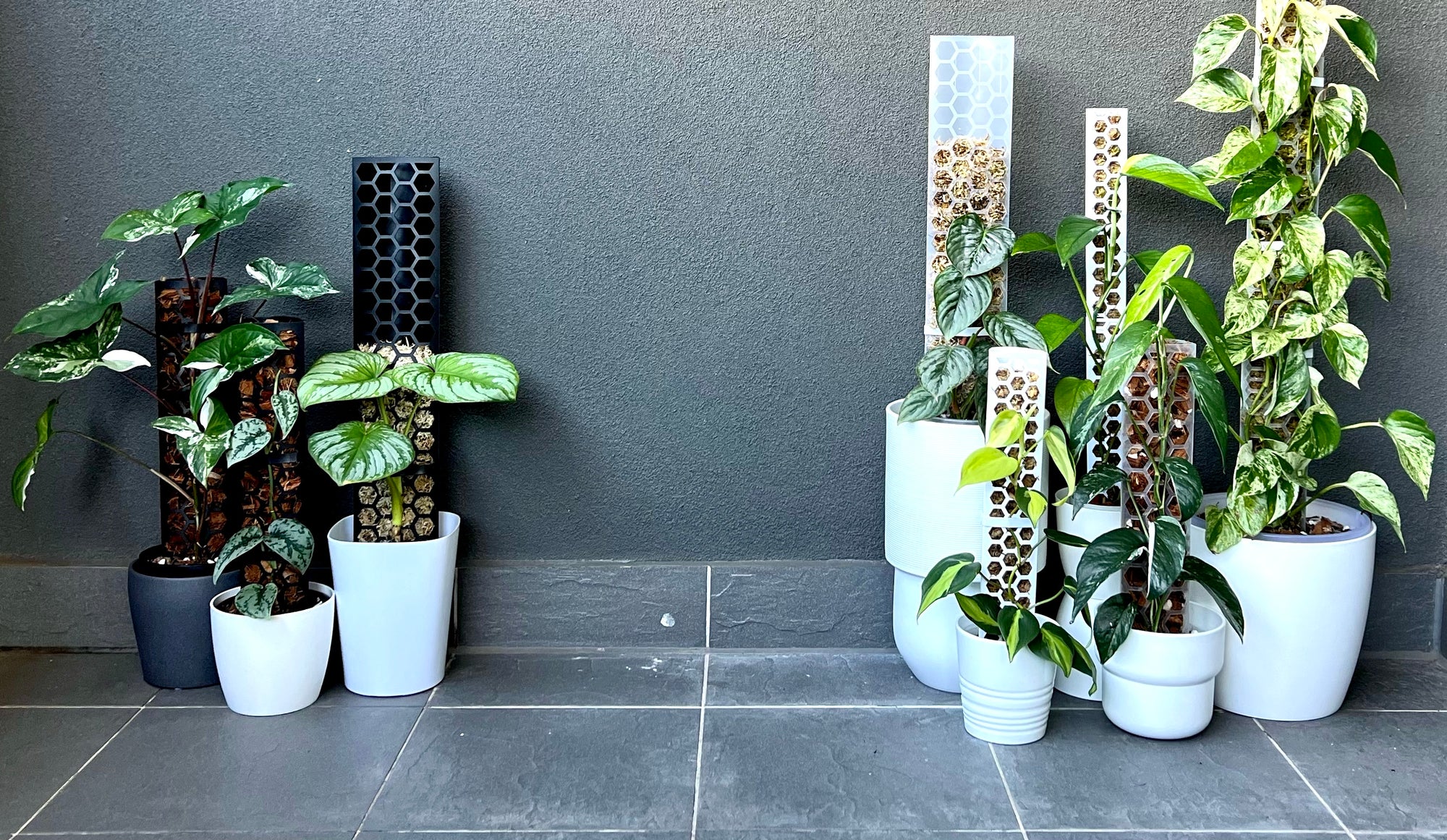 The Leafy Brand | Exquisite collection of indoor plant accessories