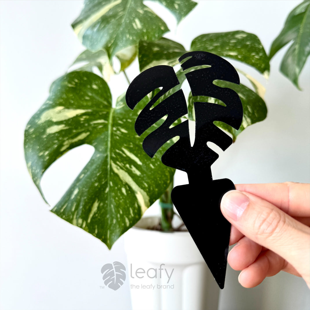 The Leafy Brand | Exquisite collection of indoor plant accessories