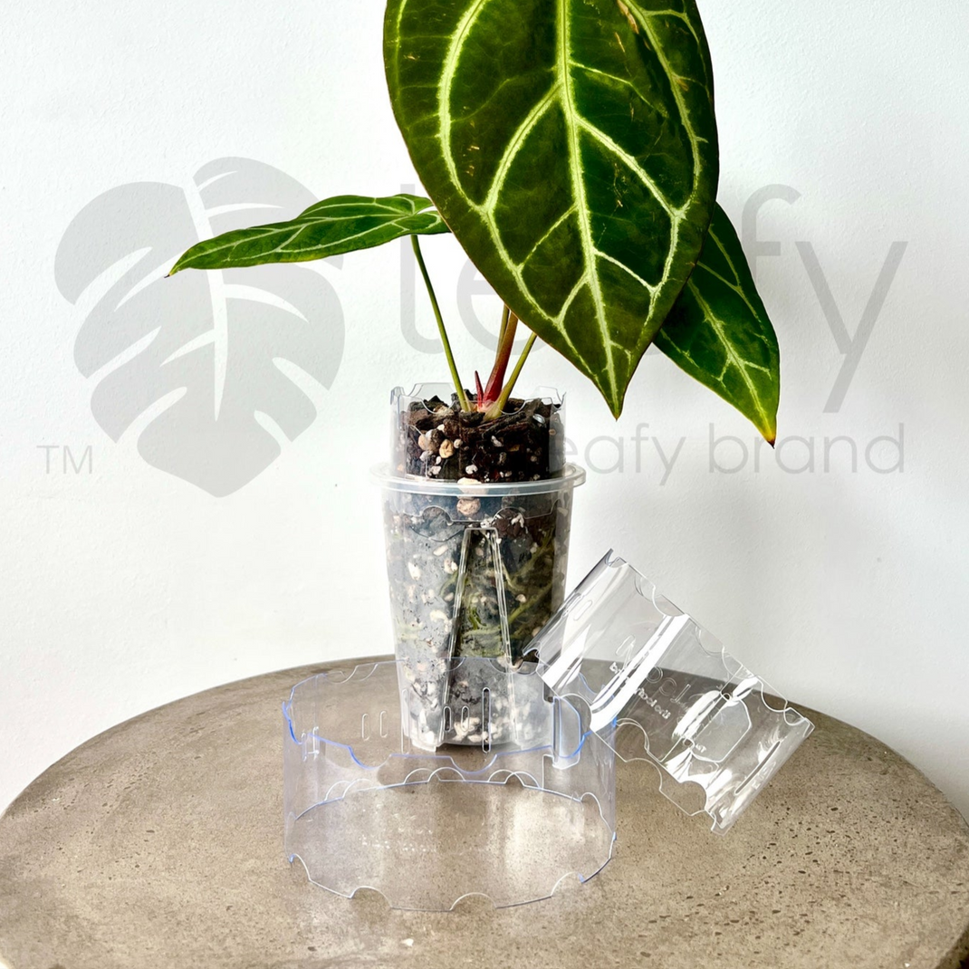 The Leafy Brand | Exquisite collection of indoor plant accessories